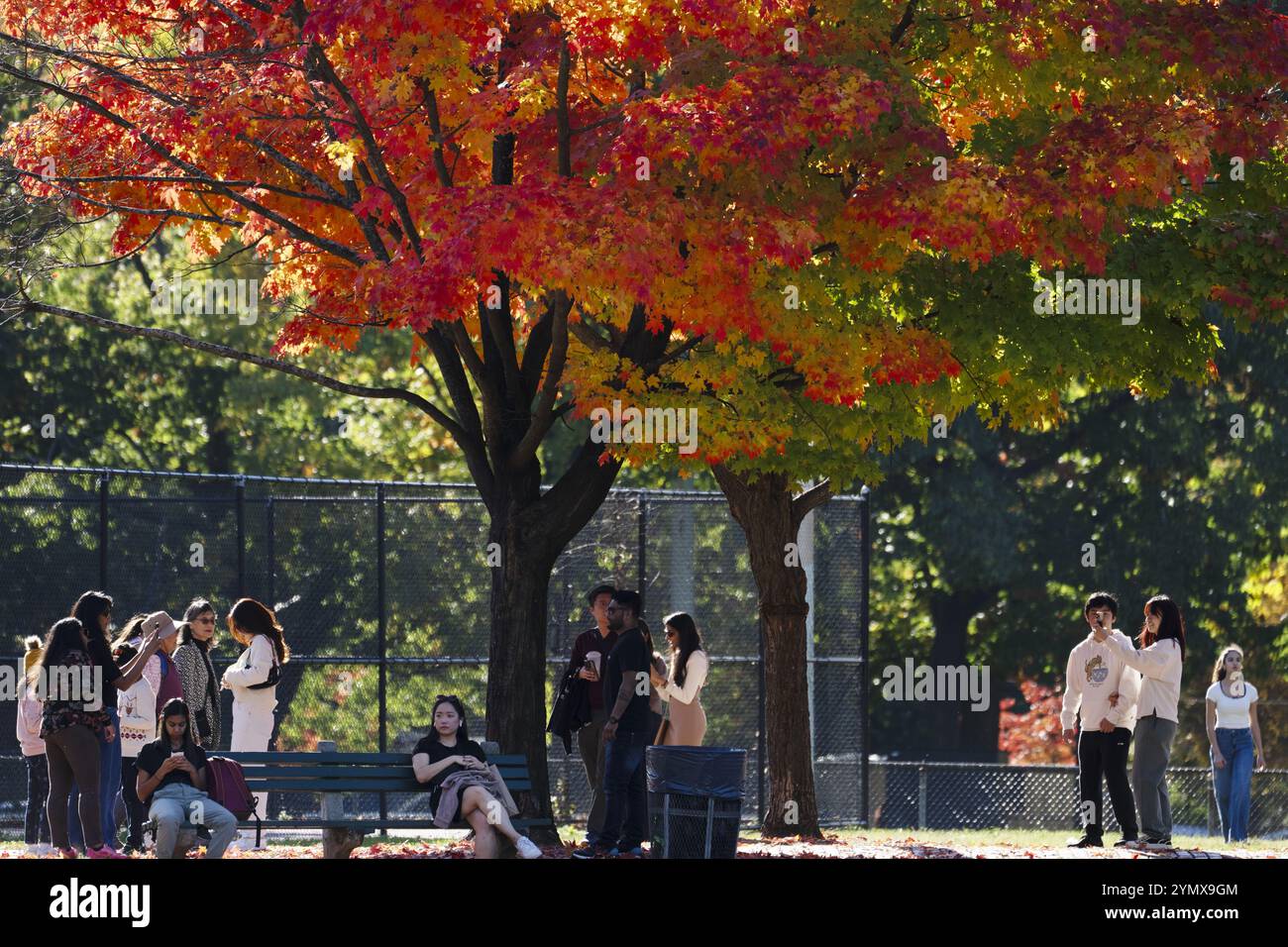 Boston Common, Public Garden, city park in the Autumn, fall foliage ...