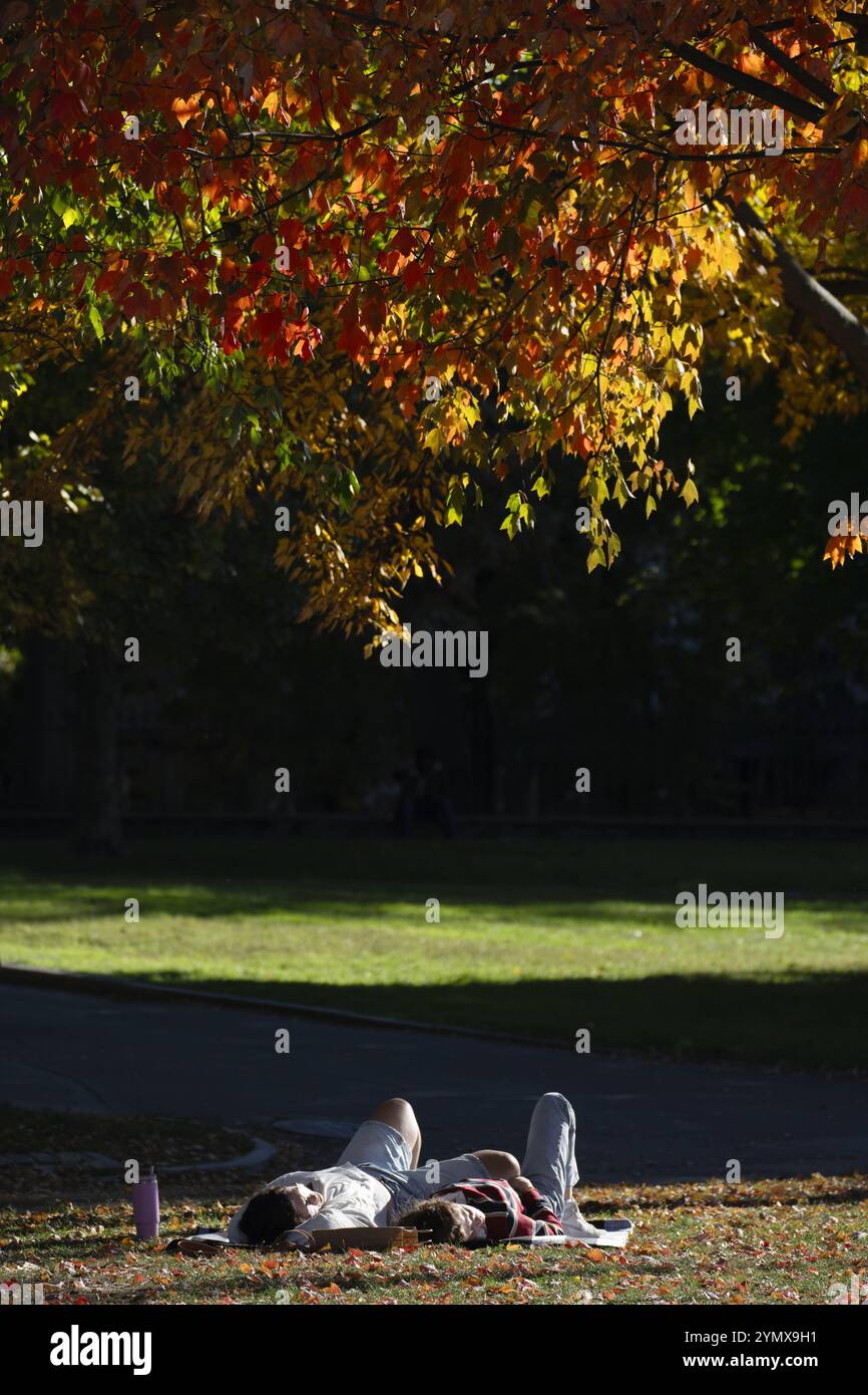 Boston Common, Public Garden, city park in the Autumn, fall foliage ...