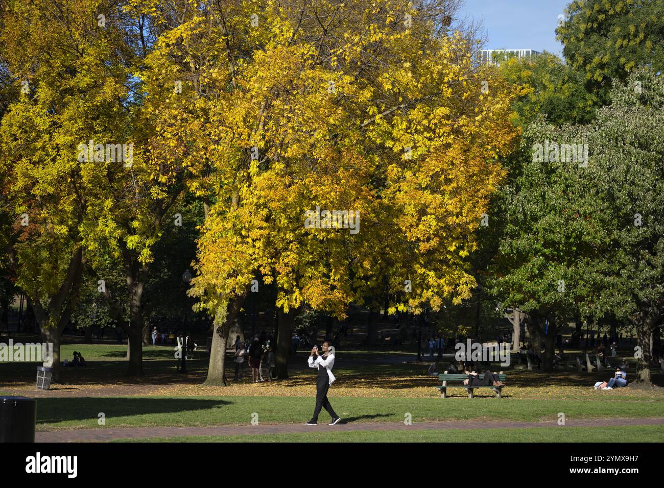 Boston Common, Public Garden, city park in the Autumn, fall foliage ...