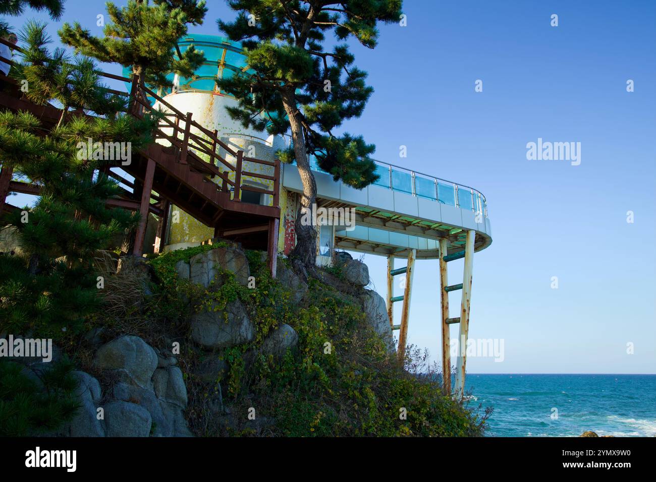 Pine tree on stilts hi-res stock photography and images - Alamy