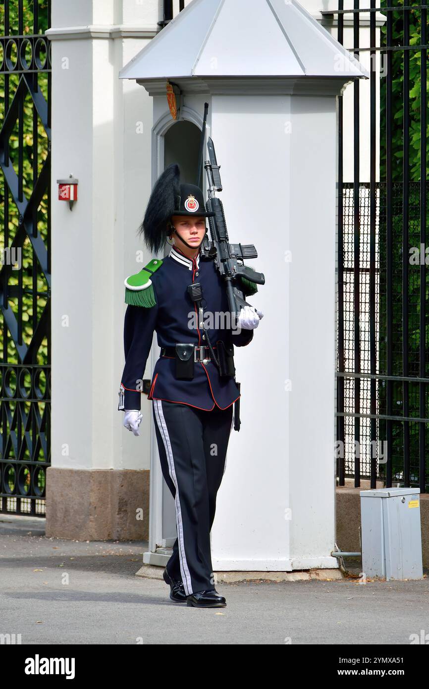 Guardswoman, His Majesty the King's Guard, Royal palace, Slottet or Det ...