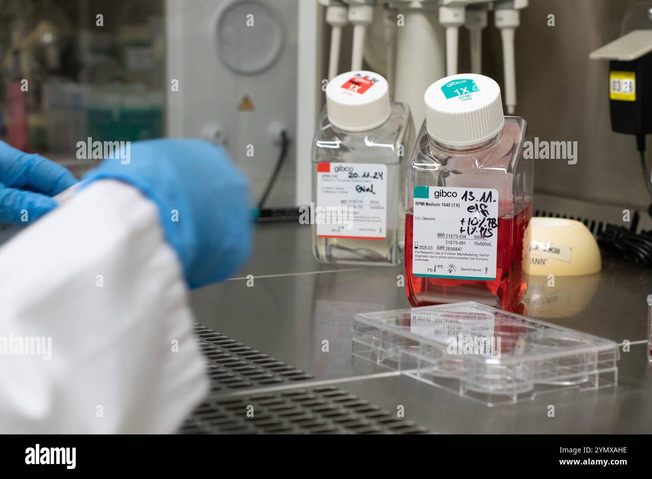 Medizin - Diagnostik - Laborforschung Zellkultur Arbeiten an der ...