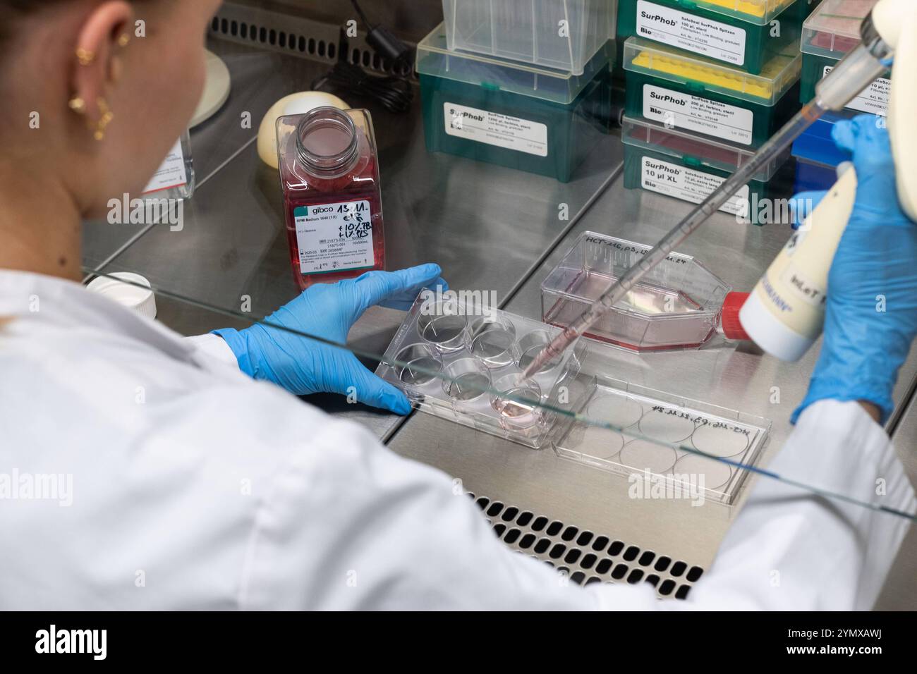 Medizin - Diagnostik - Laborforschung Zellkultur Arbeiten an der ...