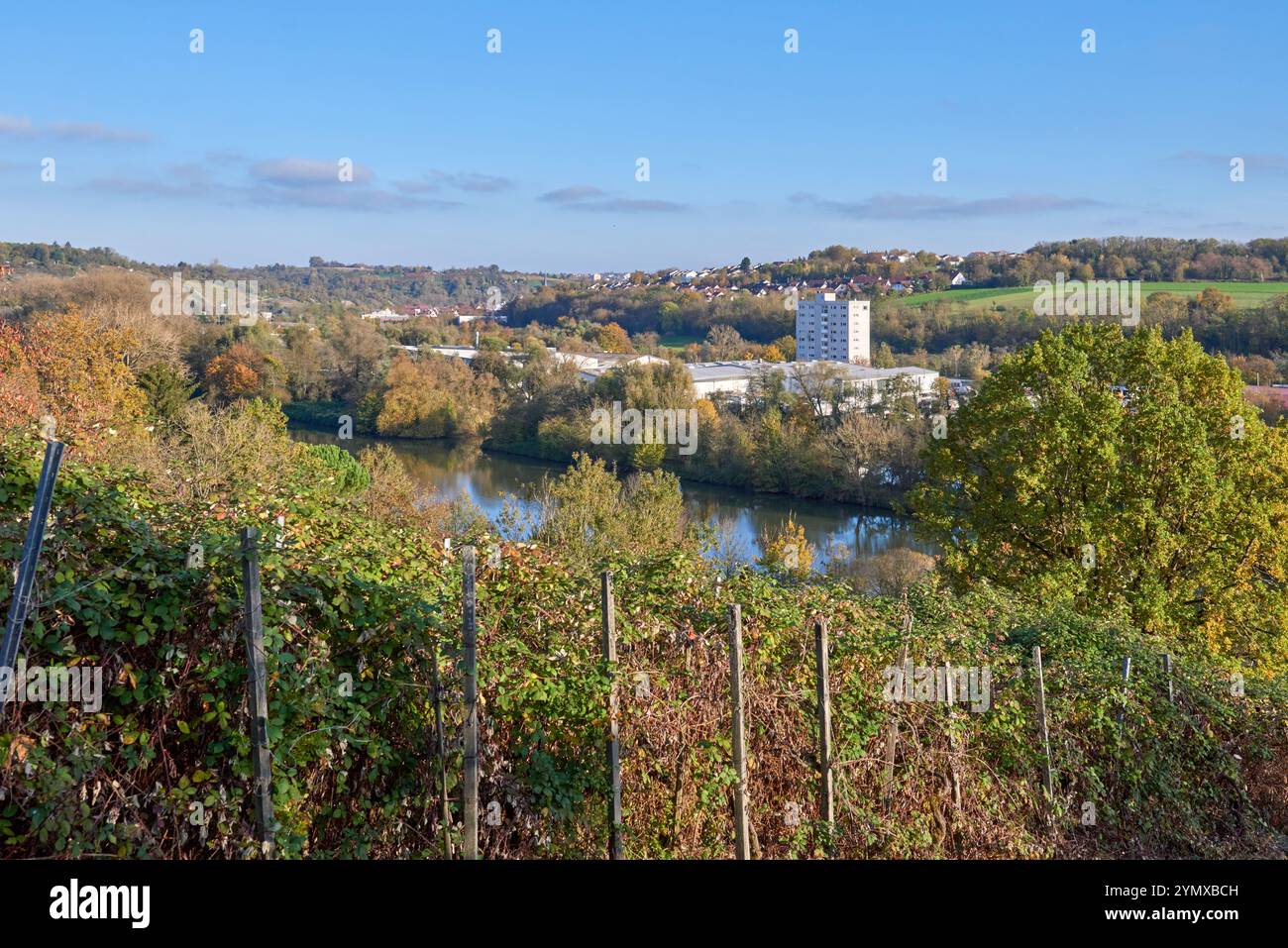 Scenic Autumn View of Benningen, Germany: A Hilltop Perspective ...