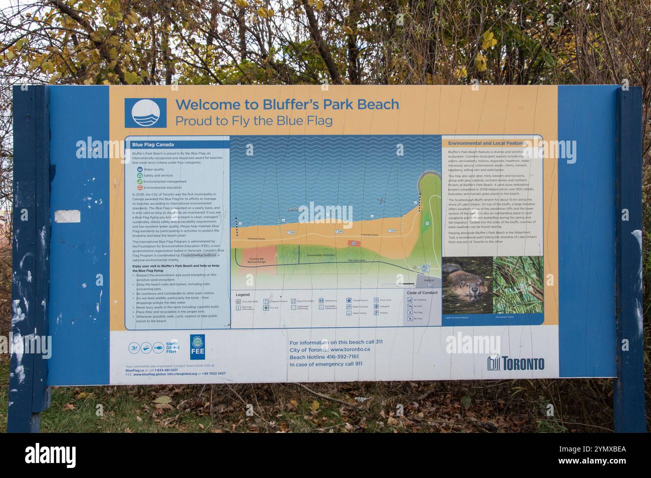 Blue flag standards sign at Bluffer's Park Beach in Scarborough,Toronto ...