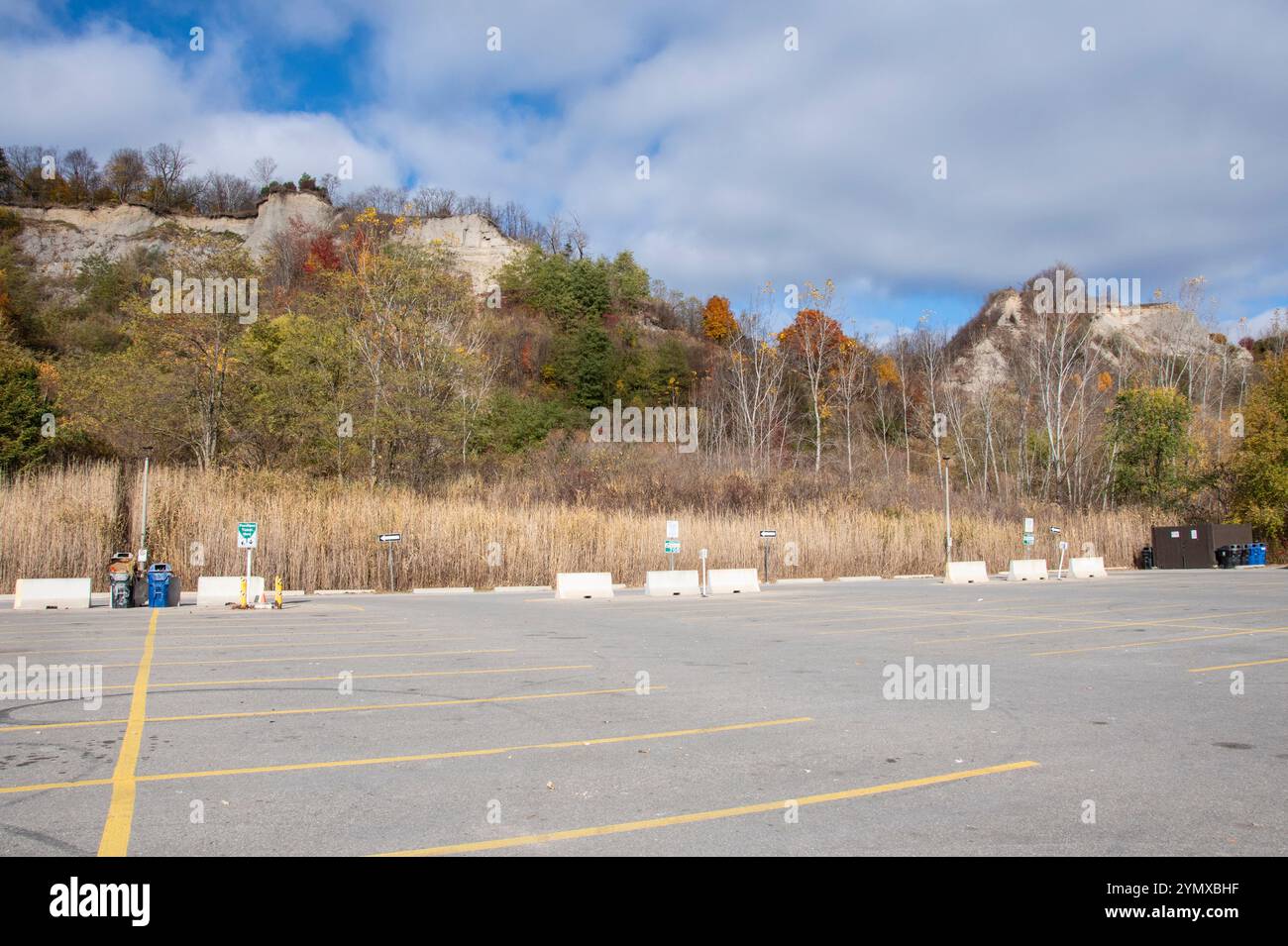 Scarborough Bluffs at Bluffer's Park & Beach in Scarborough, Toronto ...