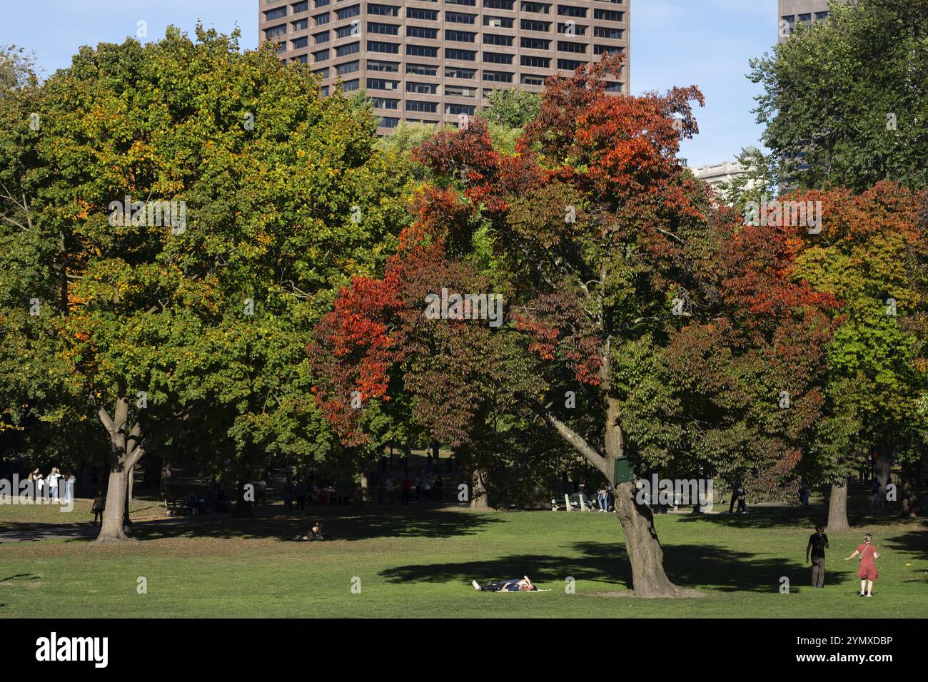 Boston Common, Public Garden, city park in the Autumn, fall foliage ...