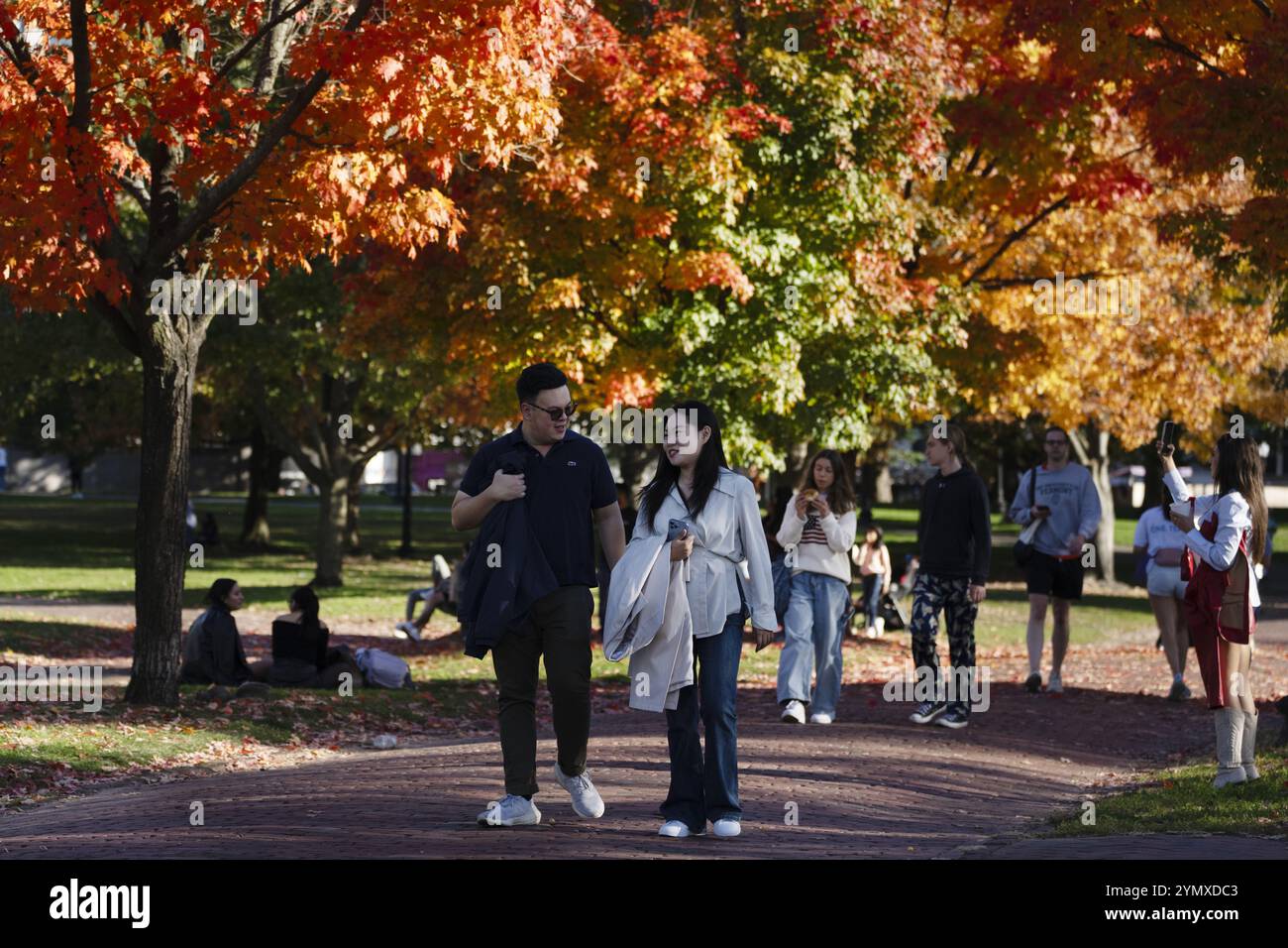 Boston Common, Public Garden, city park in the Autumn, fall foliage ...