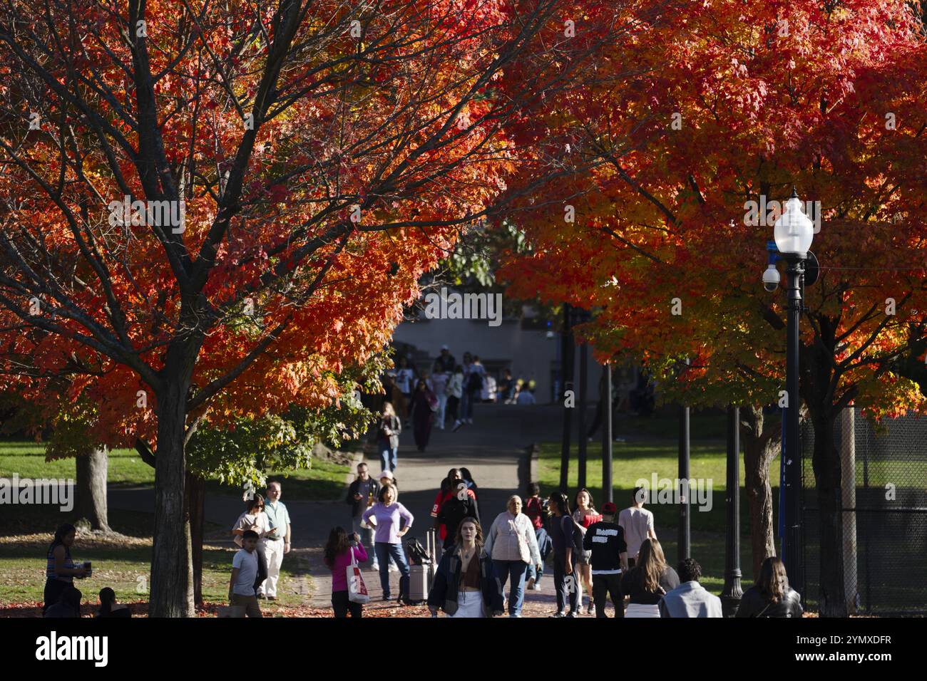 Boston Common, Public Garden, city park in the Autumn, fall foliage ...