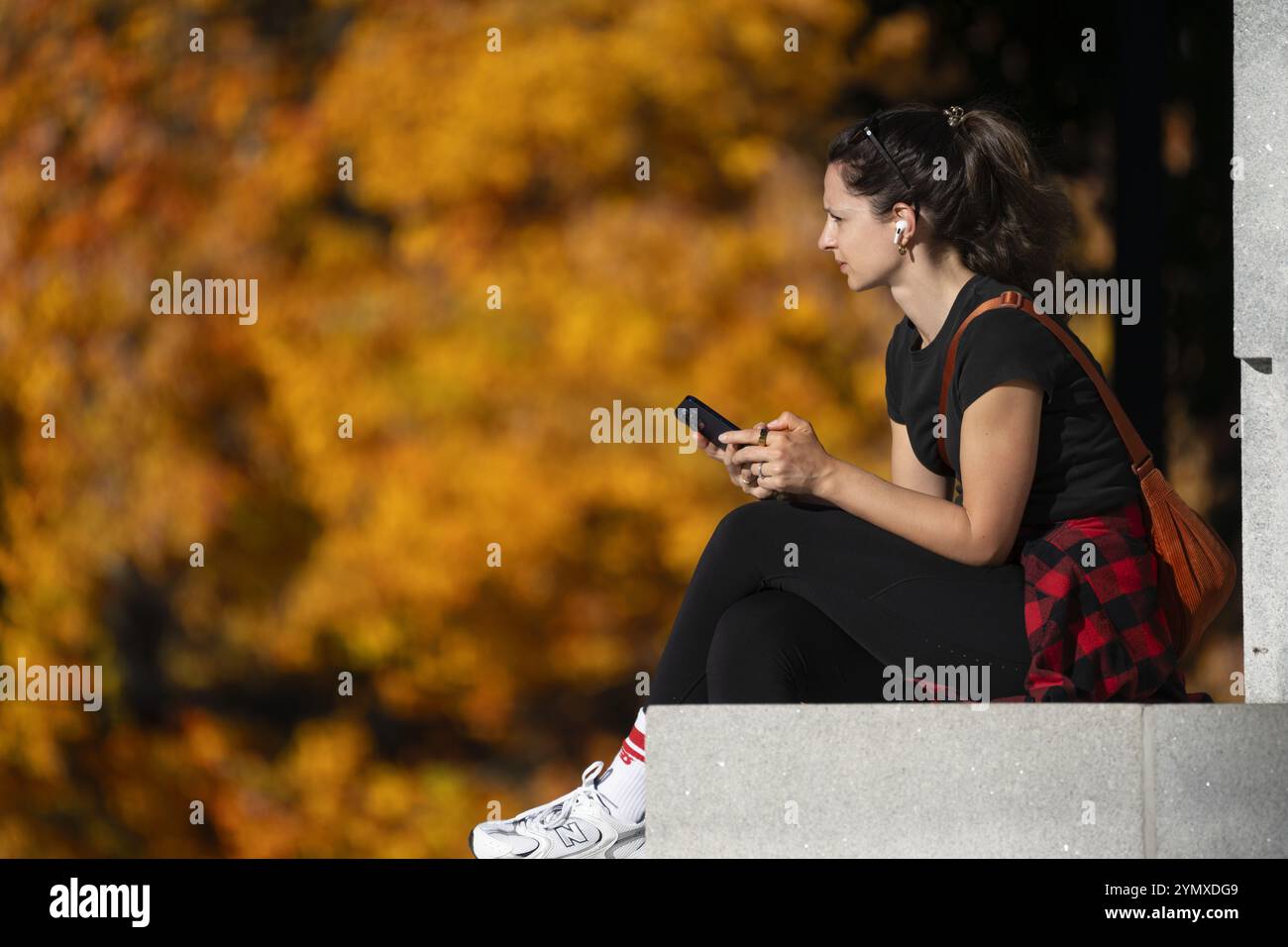 Boston Common, Public Garden, city park in the Autumn, fall foliage ...
