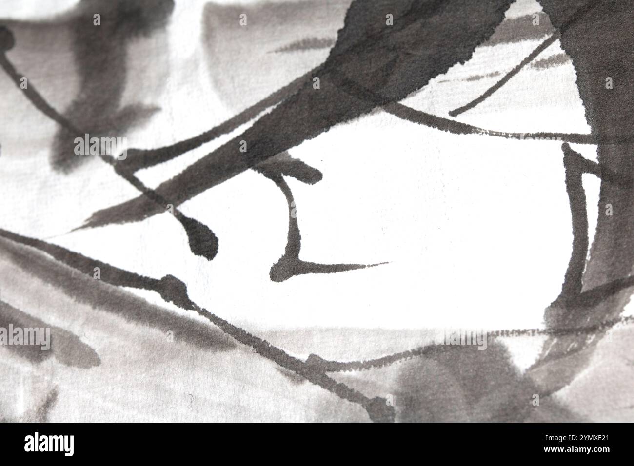 Monochrome Black and White Ink Wash Gentle Gradiant Background with ...