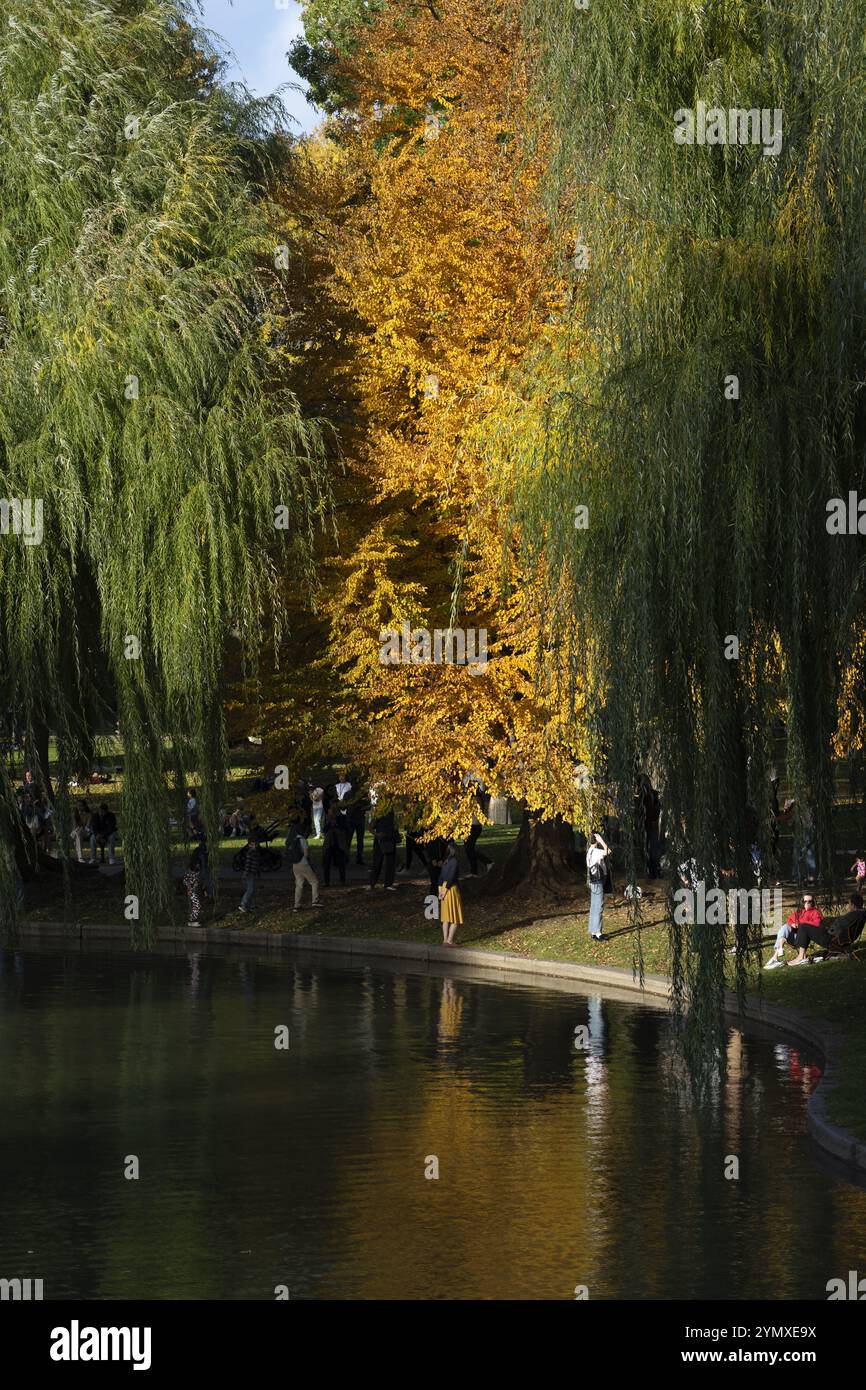Boston Common, Public Garden, city park in the Autumn, fall foliage ...