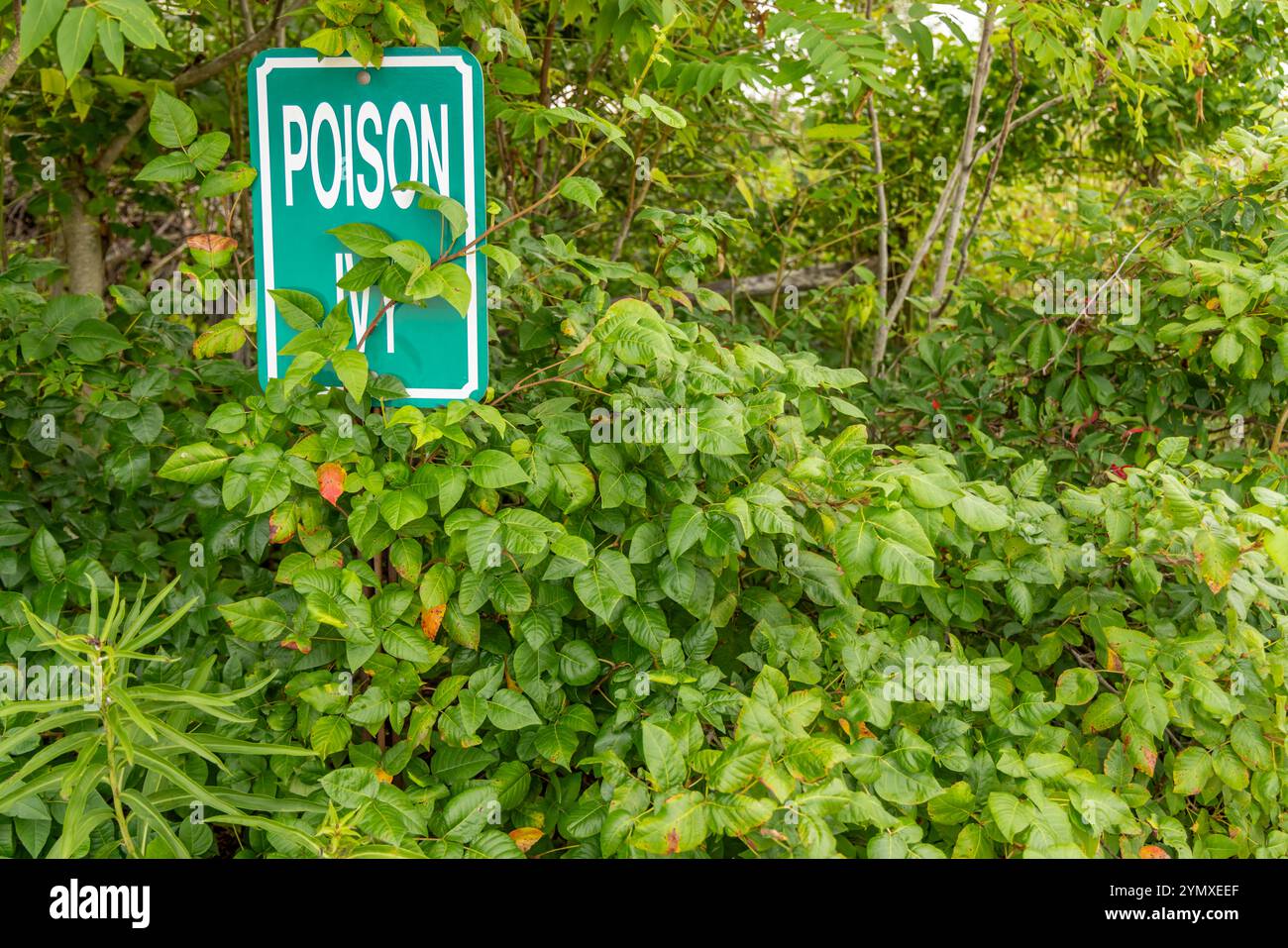 Poisonous plant sign hi-res stock photography and images - Alamy