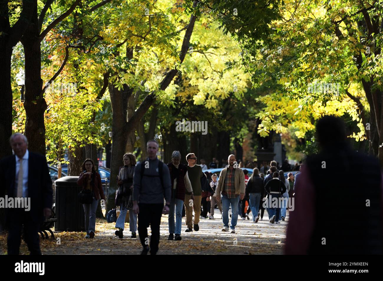 Boston Common, Public Garden, city park in the Autumn, fall foliage ...