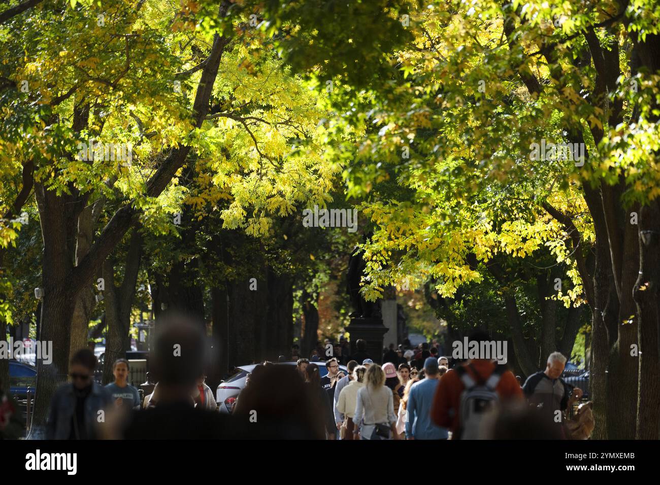 Boston Common, Public Garden, city park in the Autumn, fall foliage ...
