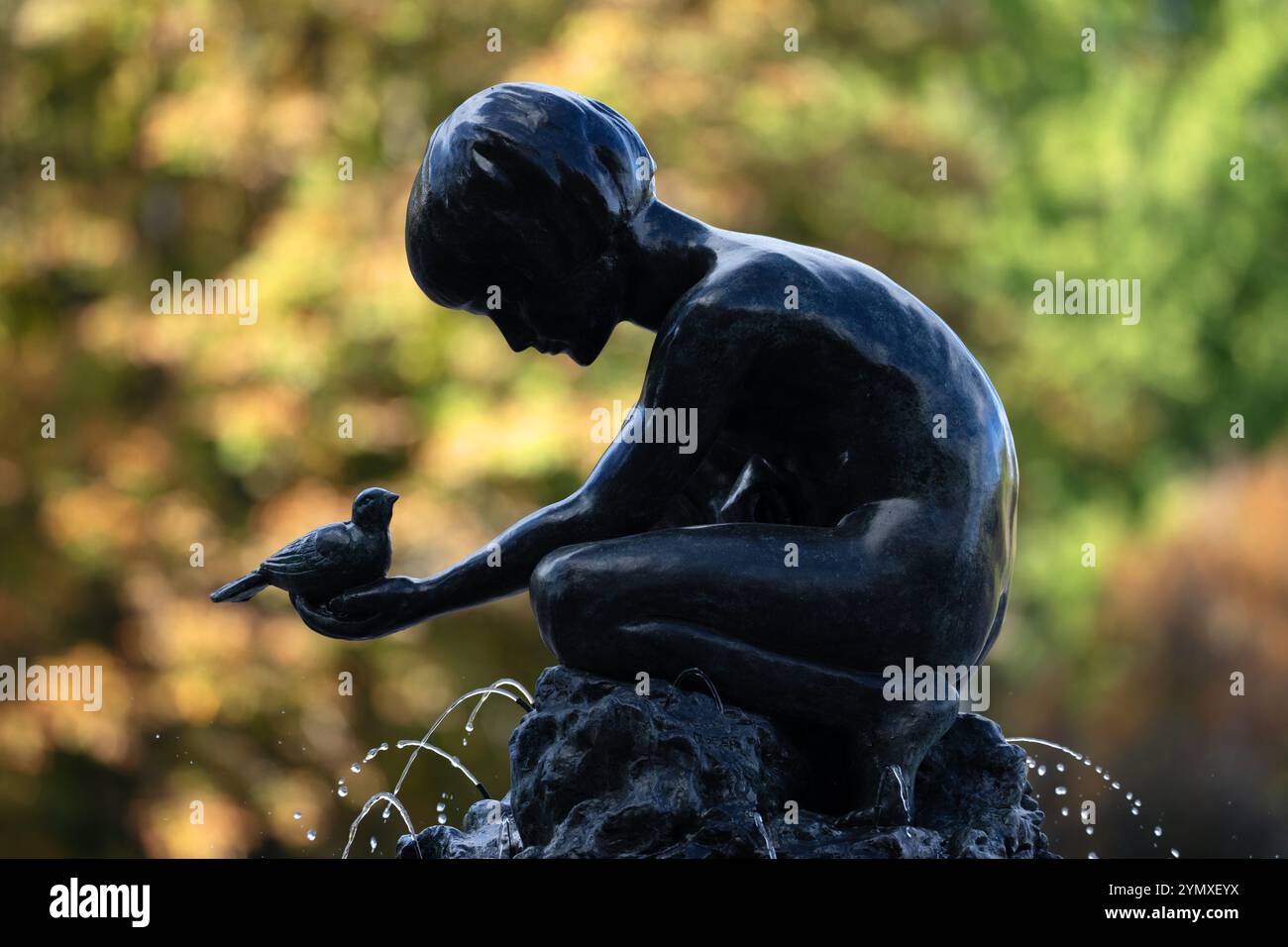 Boston Common, Public Garden, city park in the Autumn, fall foliage ...