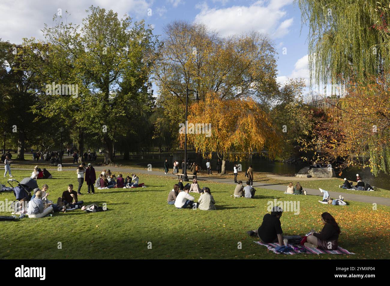 Boston Common, Public Garden, city park in the Autumn, fall foliage ...