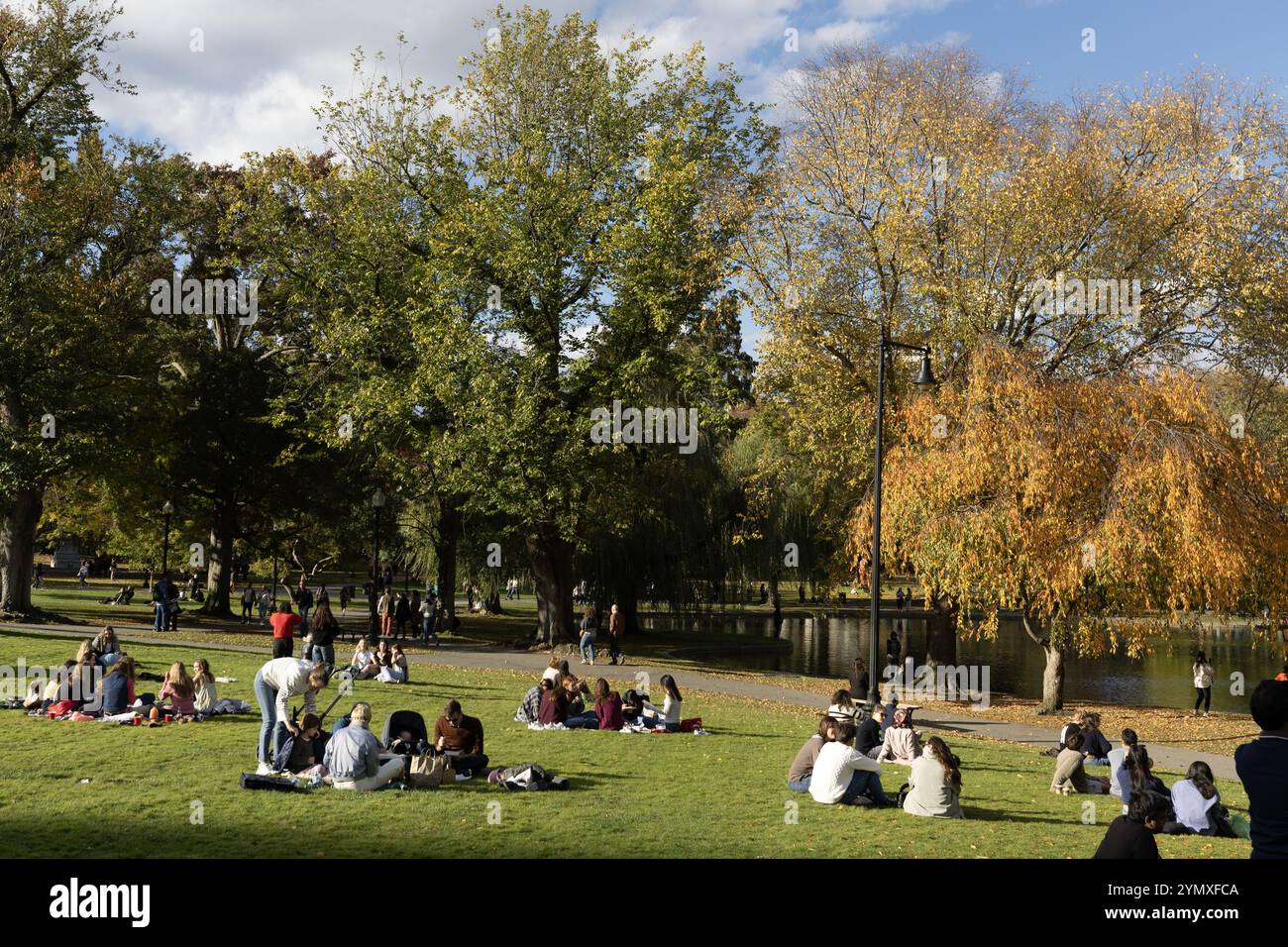 Boston Common, Public Garden, city park in the Autumn, fall foliage ...