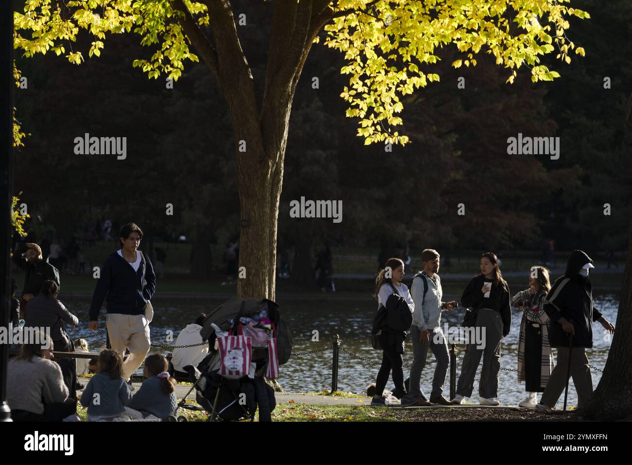 Boston Common, Public Garden, city park in the Autumn, fall foliage ...