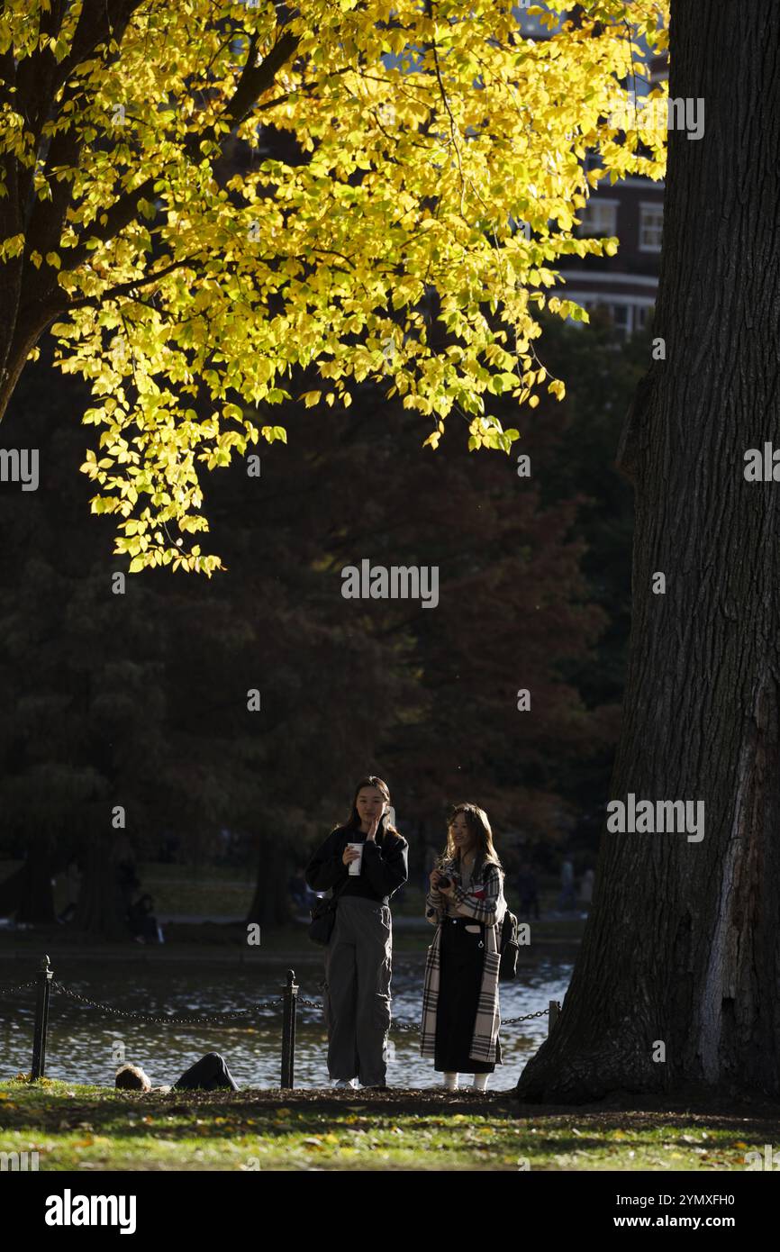 Boston Common, Public Garden, city park in the Autumn, fall foliage ...