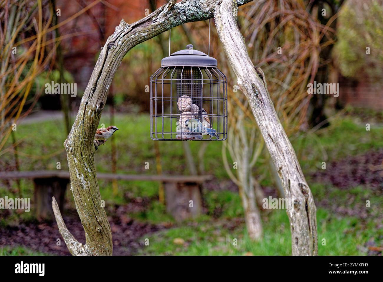 Croft Castle is a country house in the village of Croft, Herefordshire ...