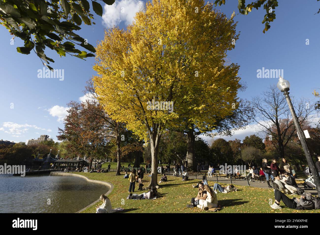 Boston Common, Public Garden, city park in the Autumn, fall foliage ...