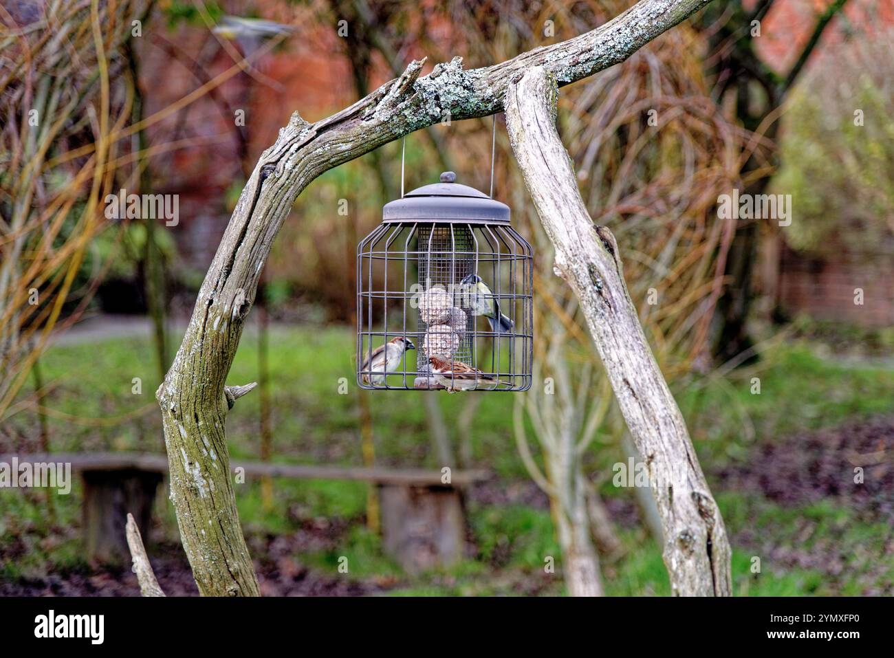 English medieval family tree hi-res stock photography and images - Alamy