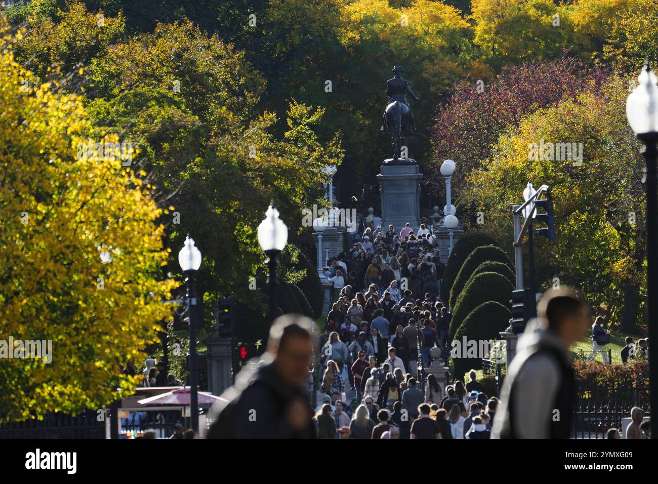 Boston Common, Public Garden, city park in the Autumn, fall foliage ...