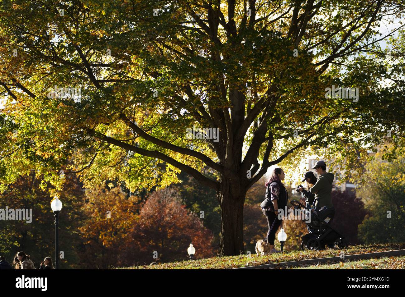 Boston Common, Public Garden, city park in the Autumn, fall foliage ...