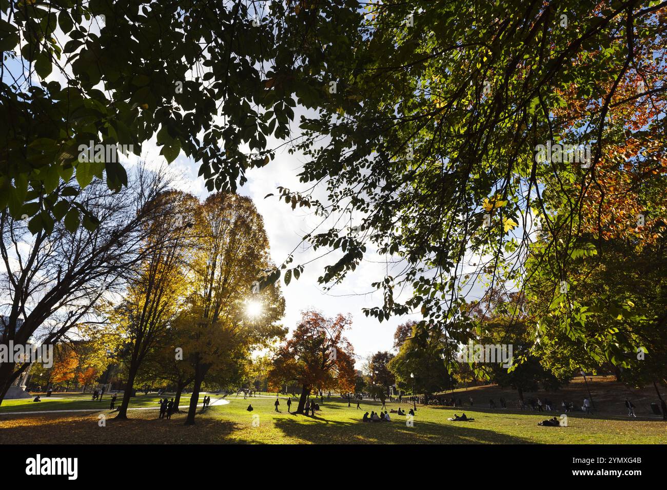 Boston Common, Public Garden, city park in the Autumn, fall foliage ...