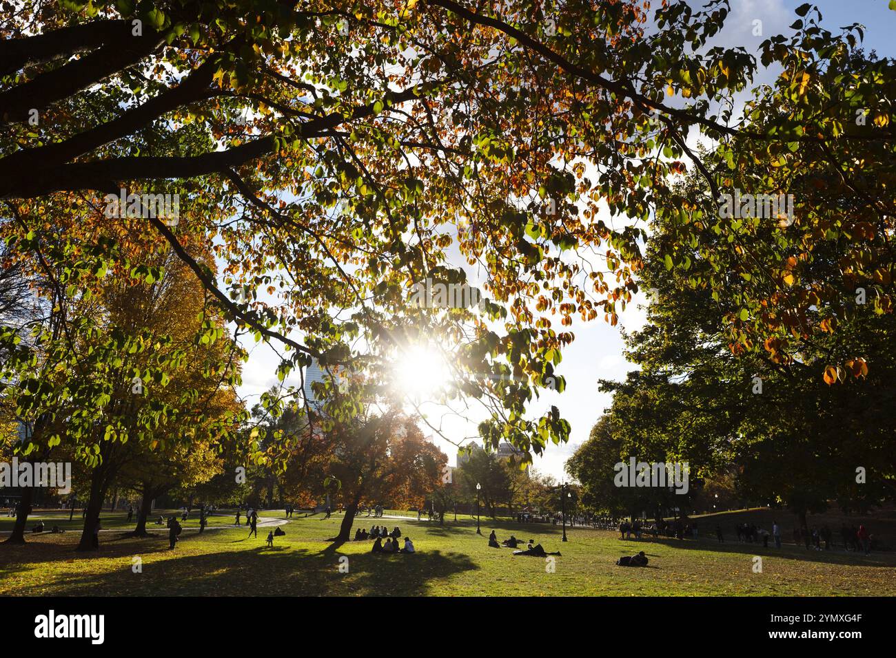 Boston Common, Public Garden, city park in the Autumn, fall foliage ...