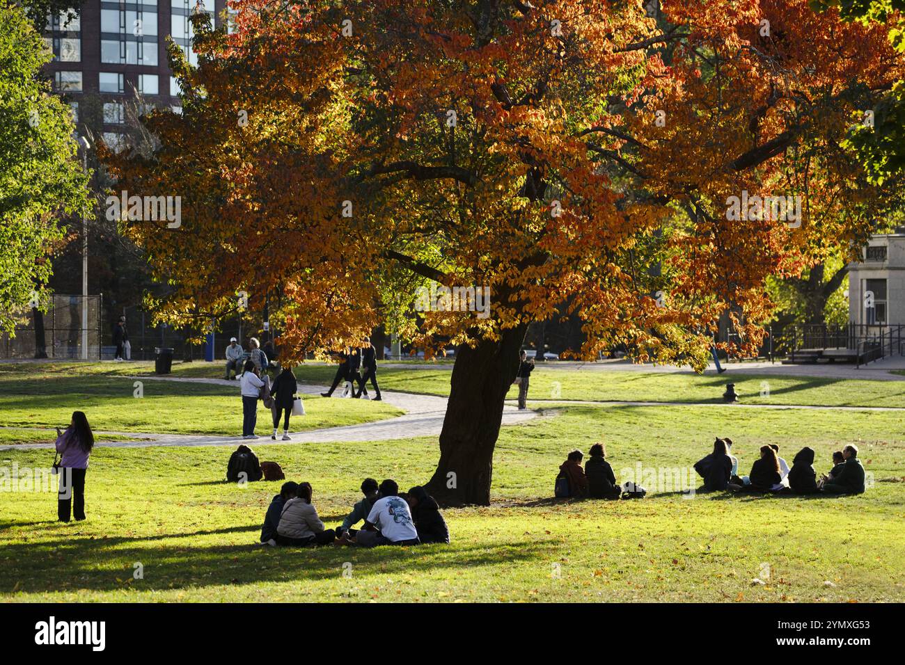 Boston Common, Public Garden, city park in the Autumn, fall foliage ...