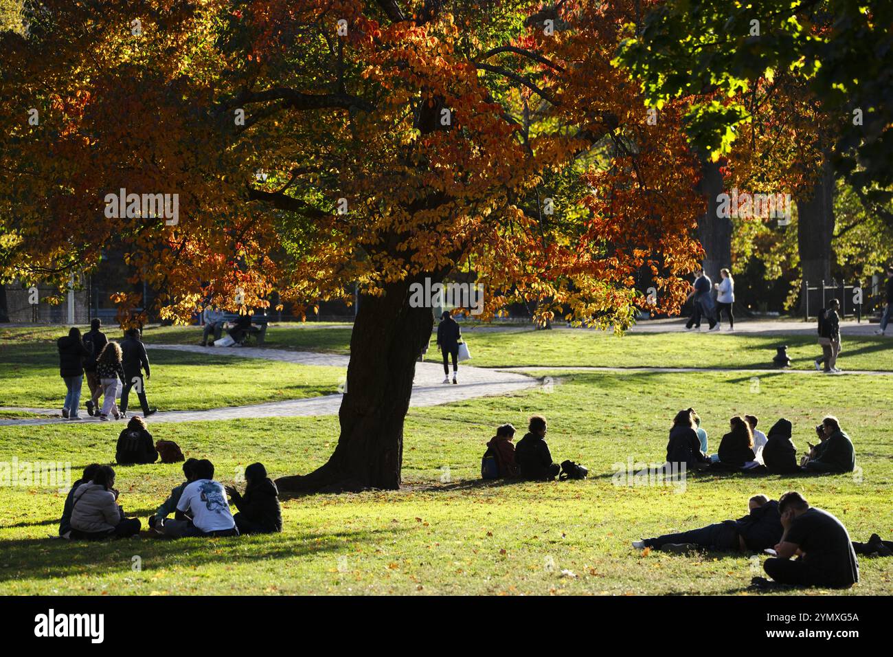 Boston Common, Public Garden, city park in the Autumn, fall foliage ...