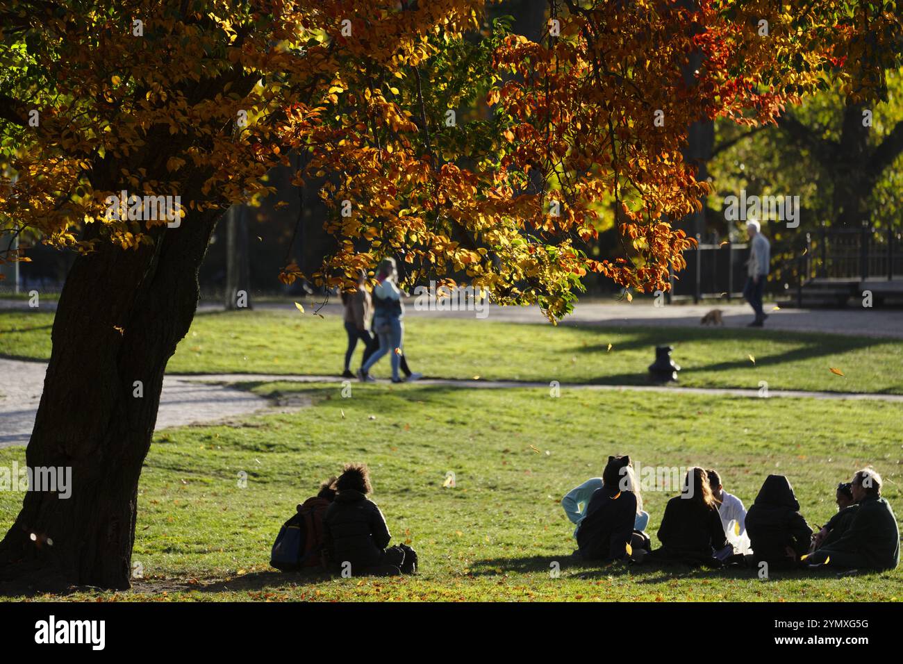 Boston Common, Public Garden, city park in the Autumn, fall foliage ...