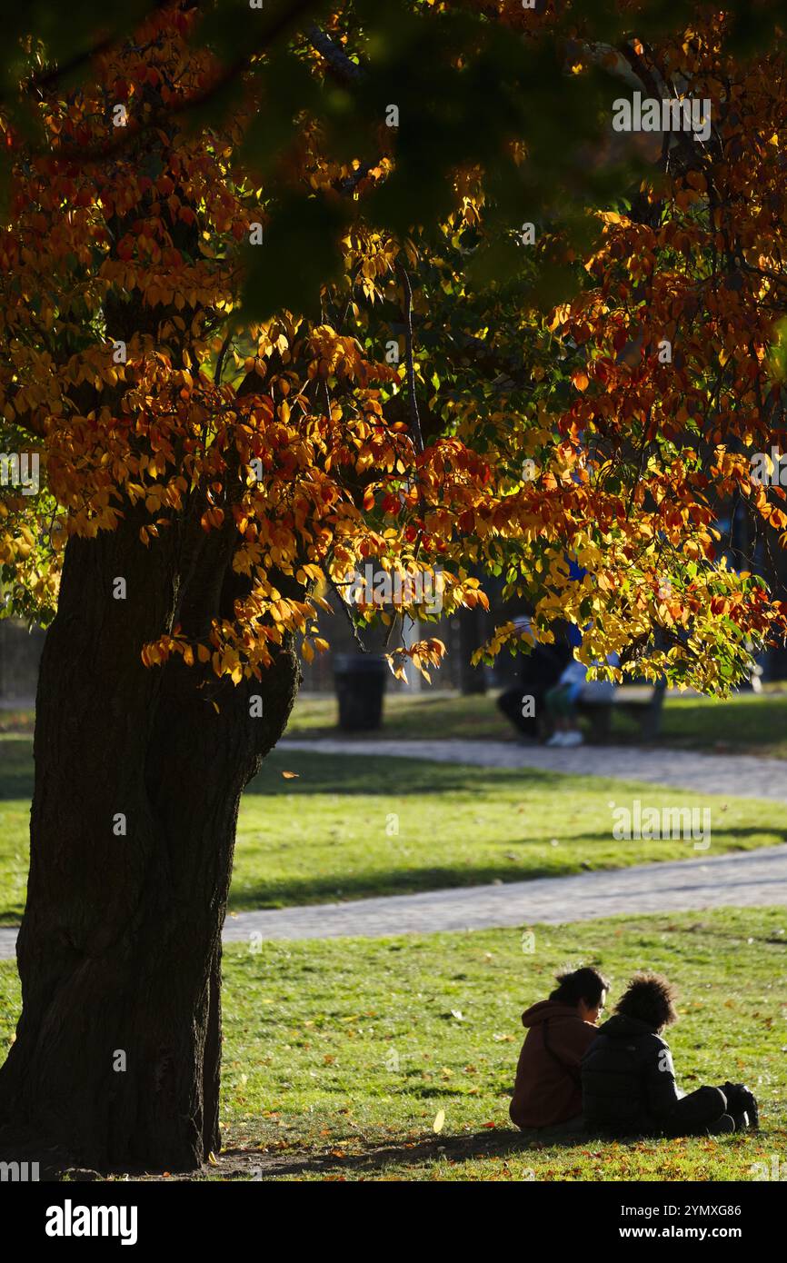 Boston Common, Public Garden, city park in the Autumn, fall foliage ...