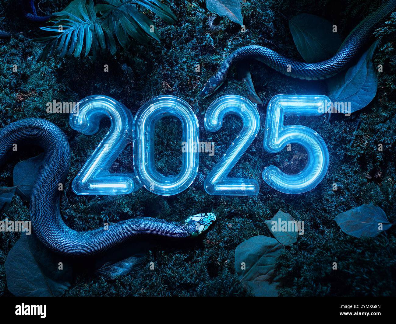 2025 snake hi-res stock photography and images - Alamy