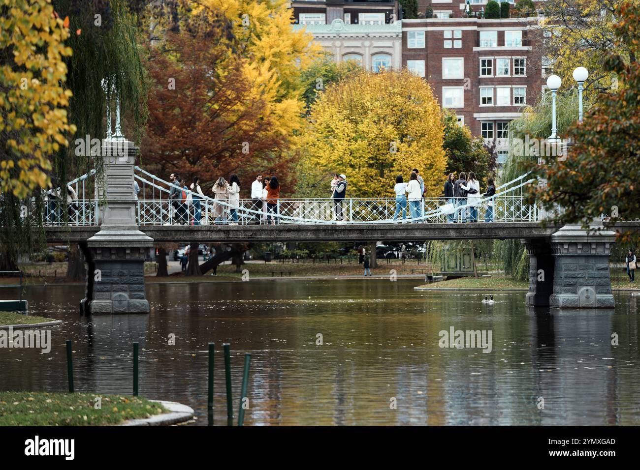 Boston Common, Public Garden, city park in the Autumn, fall foliage ...