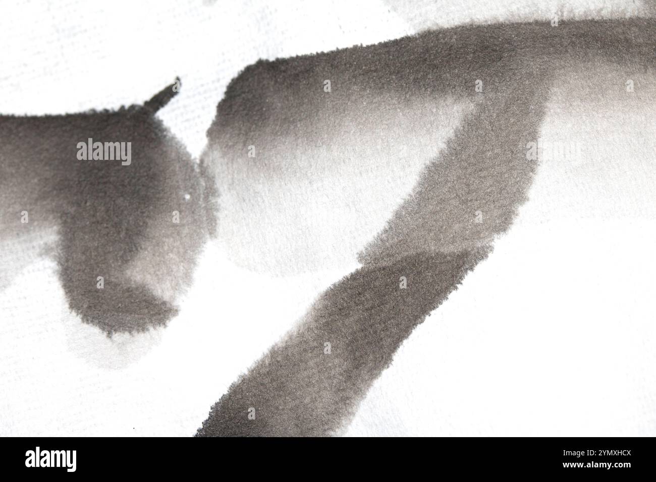 Monochrome Black and White Ink Wash Gentle Gradiant Background with ...