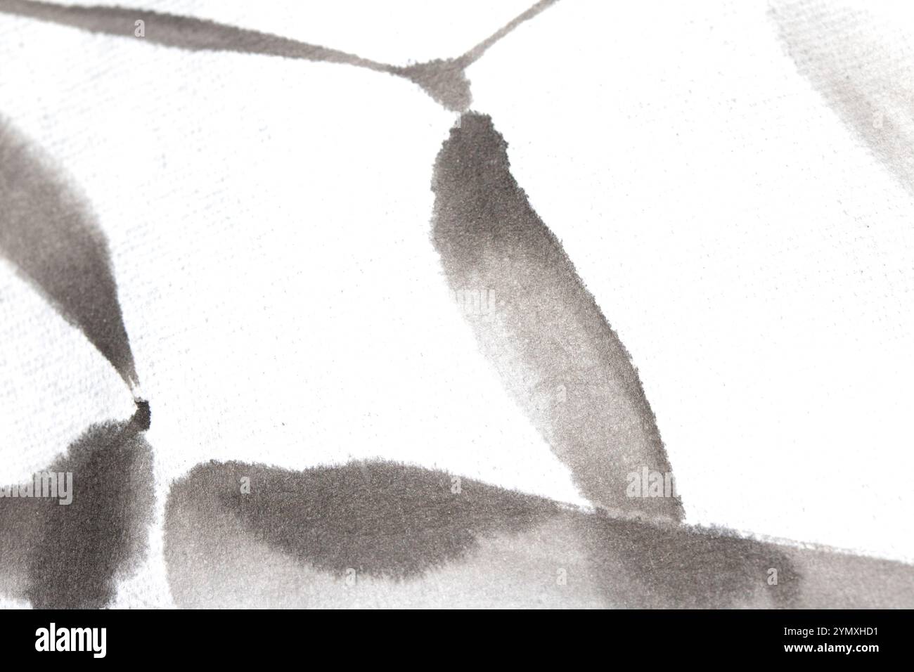 Monochrome Black and White Ink Wash Gentle Gradiant Background with ...