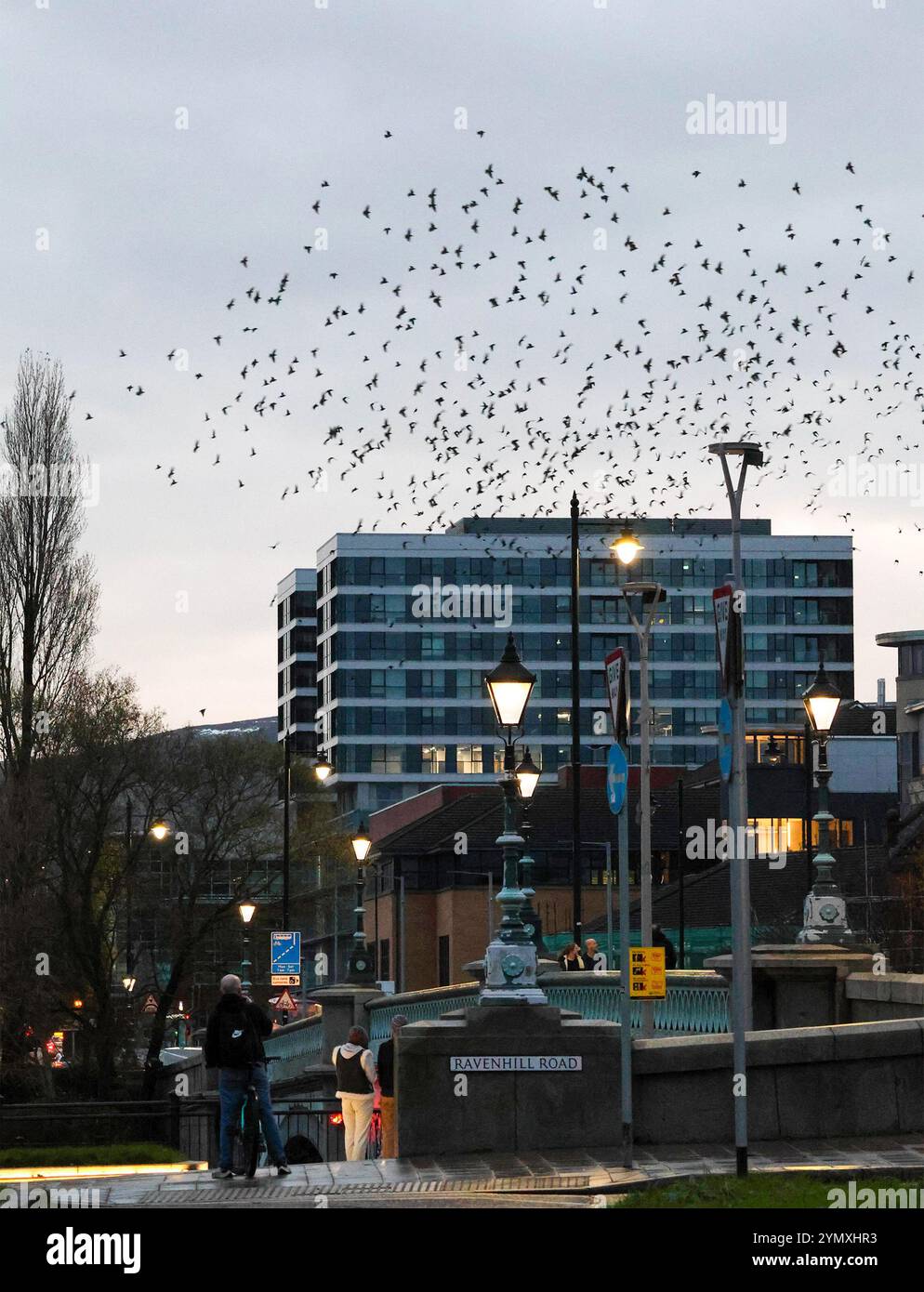 Albert Bridge, Belfast, Northern Ireland , UK. 23 Nov 2024. UK weather ...