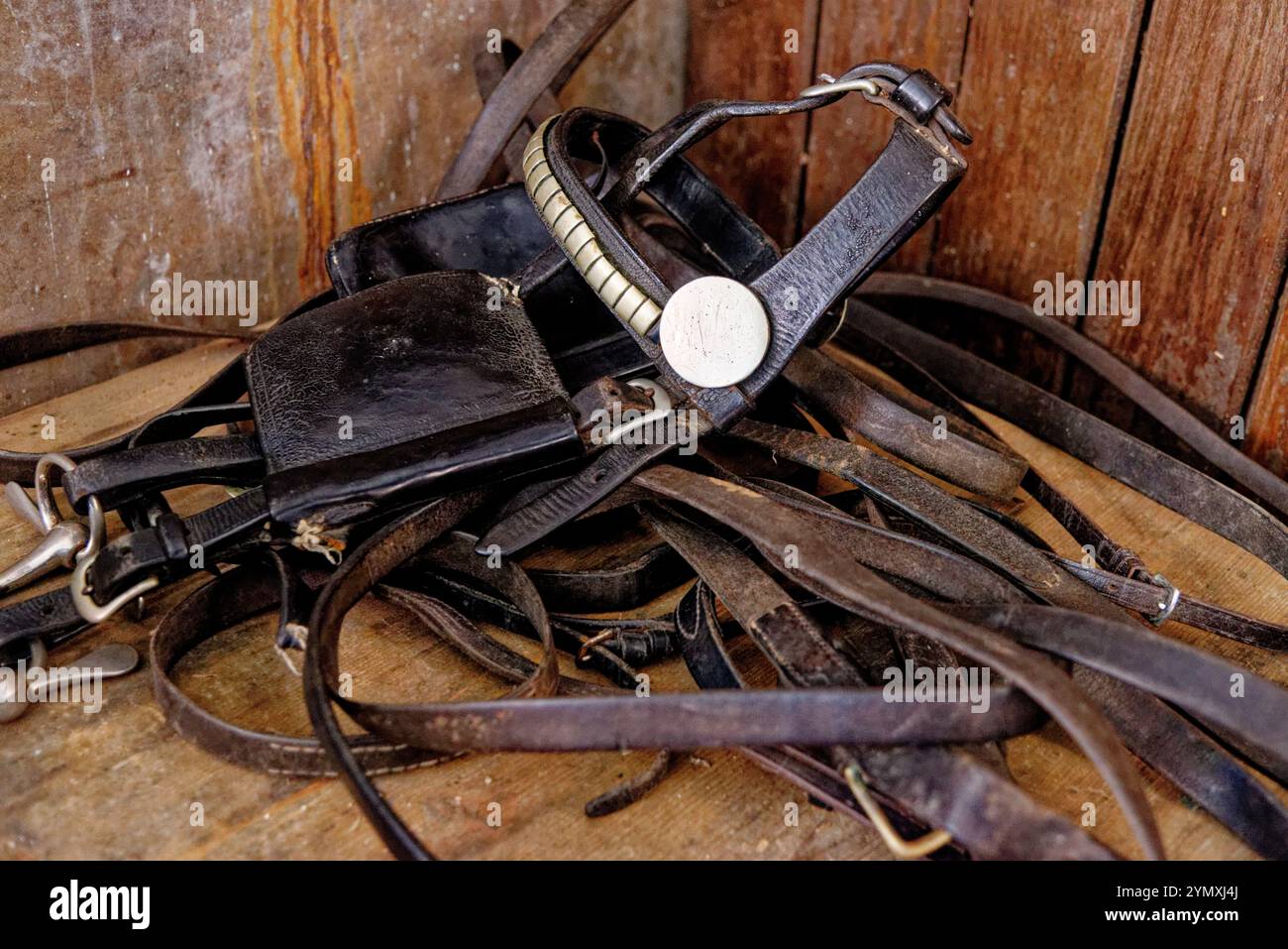 Croft Castle is a country house in the village of Croft, Herefordshire ...