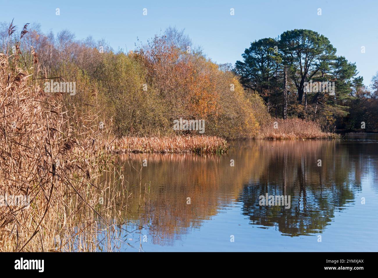 The Ornamental Lake on Southampton Common Stock Photo - Alamy