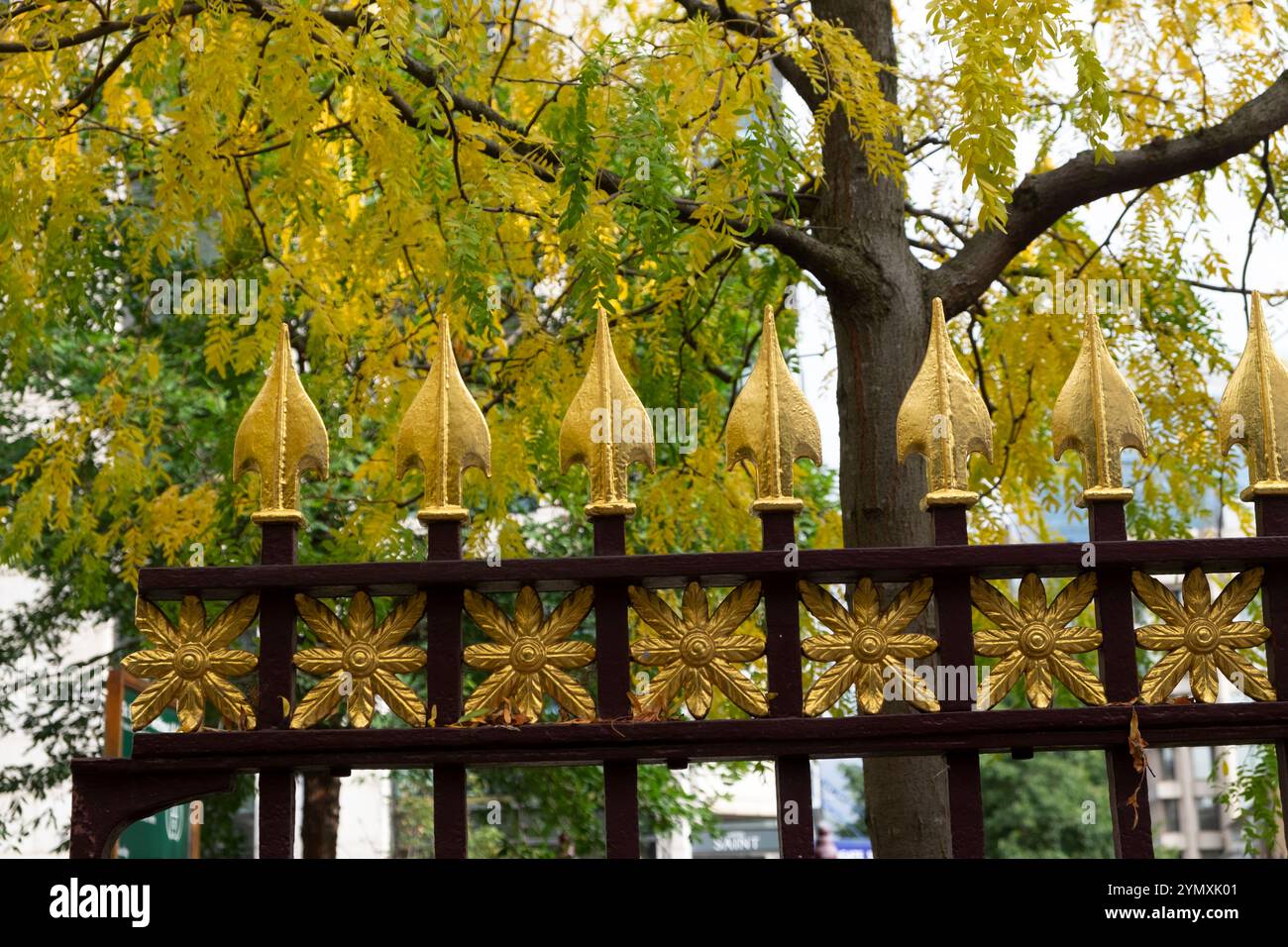 Decorative historic ornamental iron railing with gold paint outside St ...