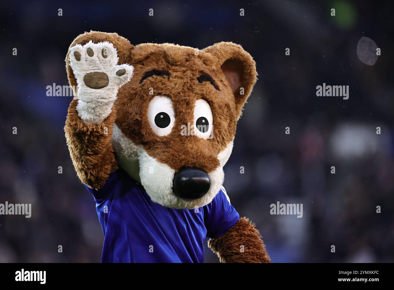 Leicester city mascot hi-res stock photography and images - Alamy