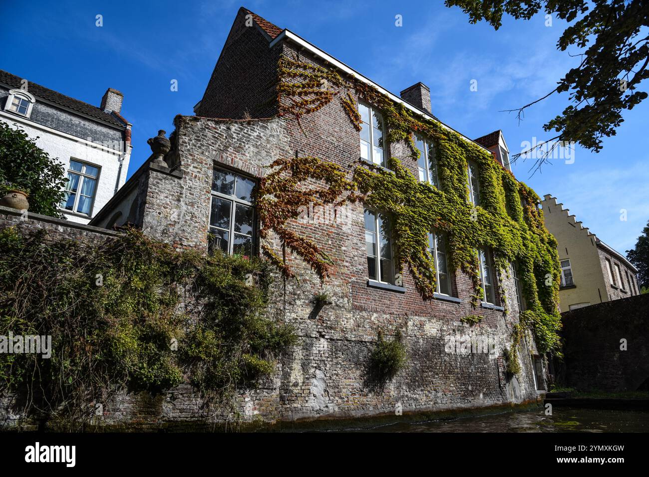 Ivy-Covered Brick House along a Canal in Bruges, Belgium Stock Photo ...