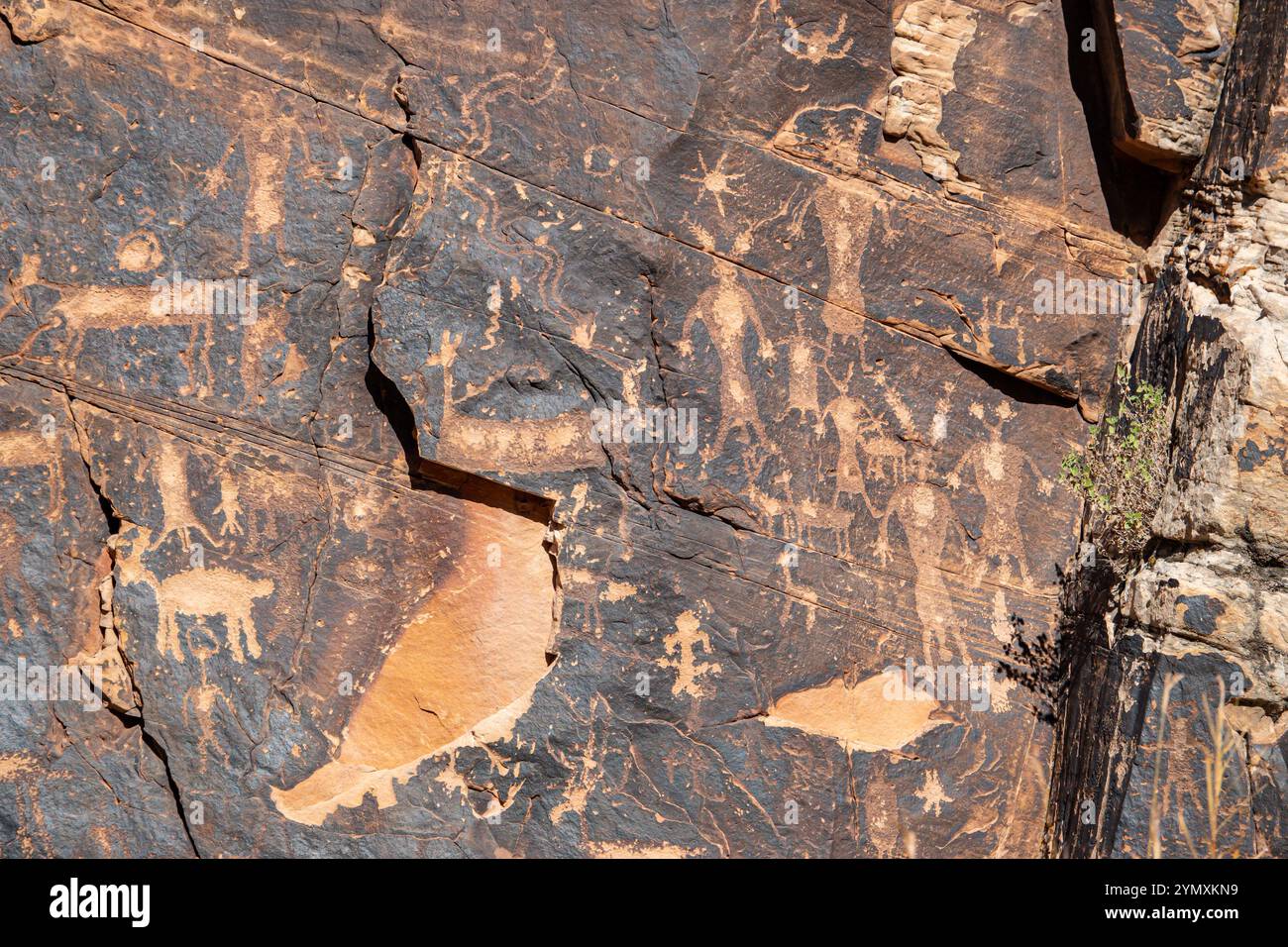 Petroglyphs at Rock Art Ranch in Winslow, Arizona, USA Stock Photo - Alamy