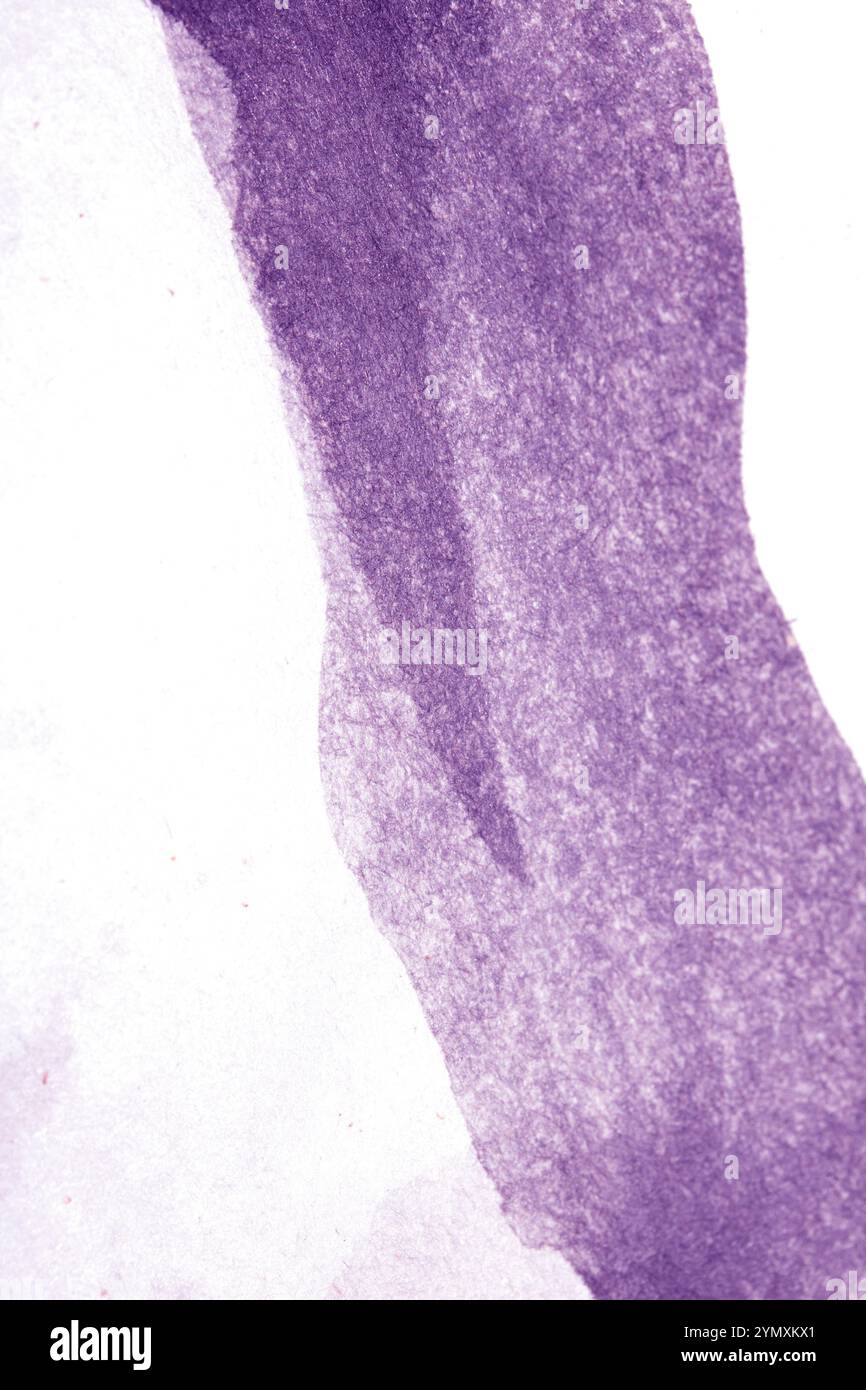 Monochrome Purple and White Ink Wash Gentle Gradiant Background with ...