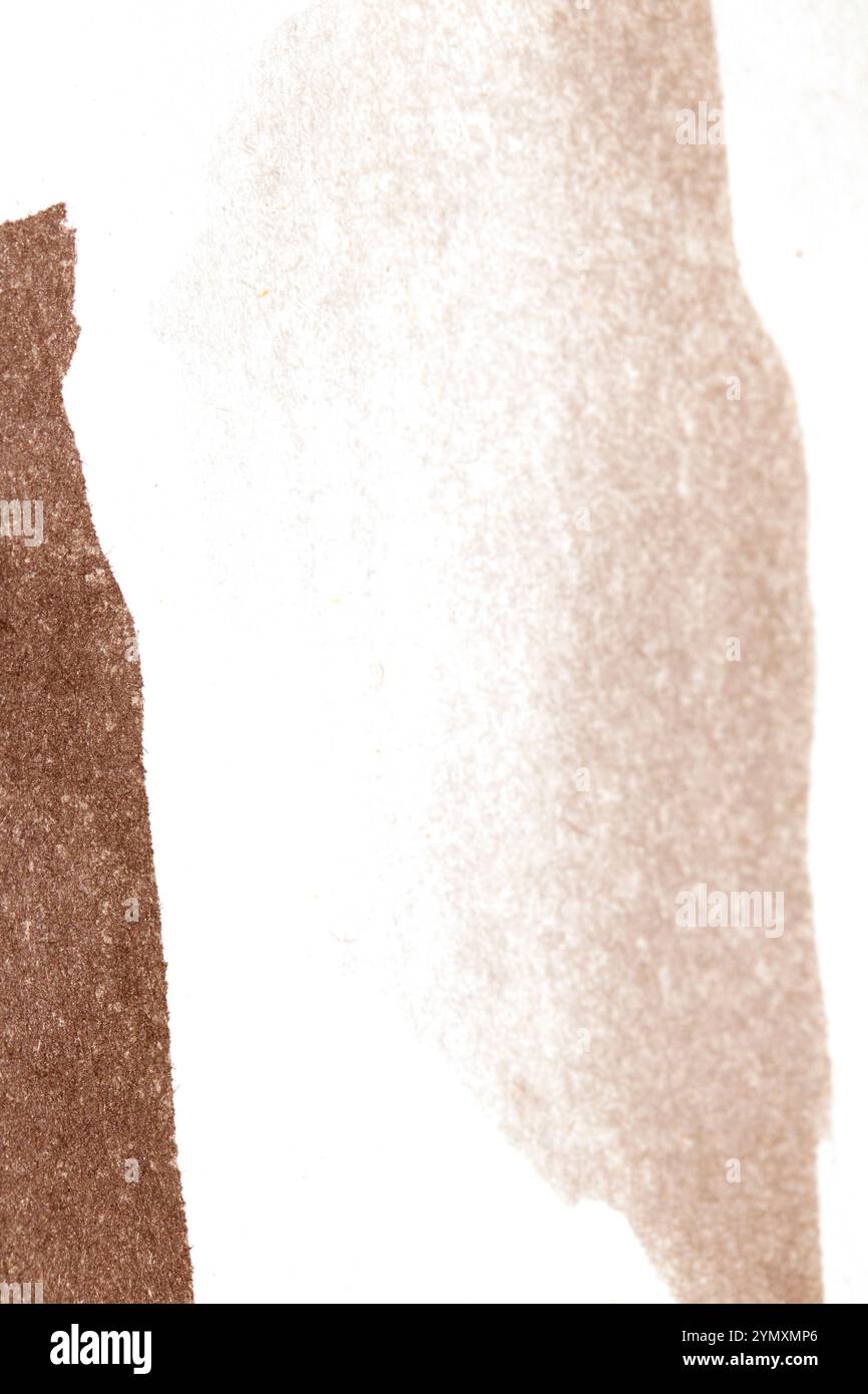 Monochrome Sepia and White Ink Wash Gentle Gradiant Background with ...