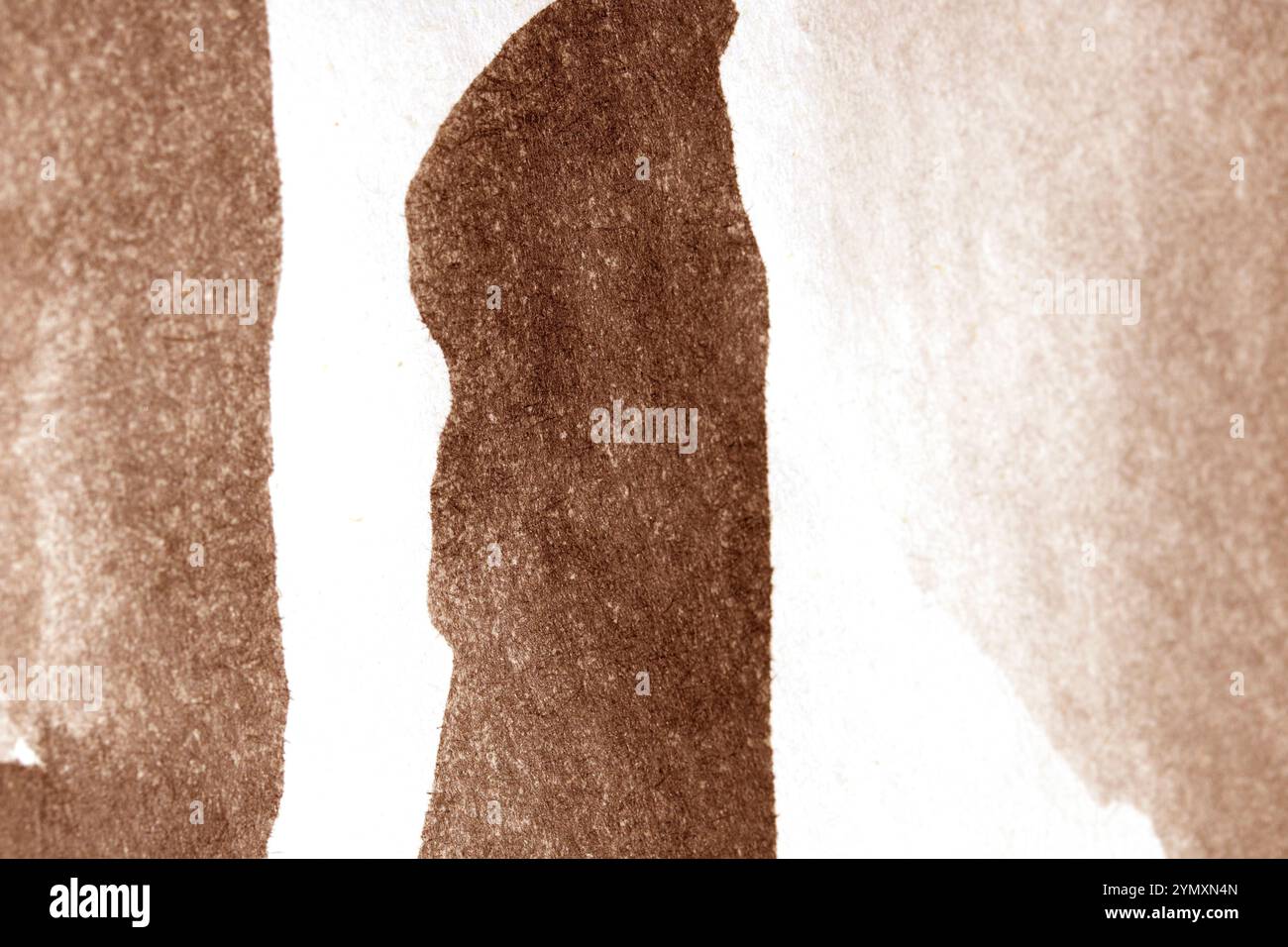 Monochrome Sepia and White Ink Wash Gentle Gradiant Background with ...