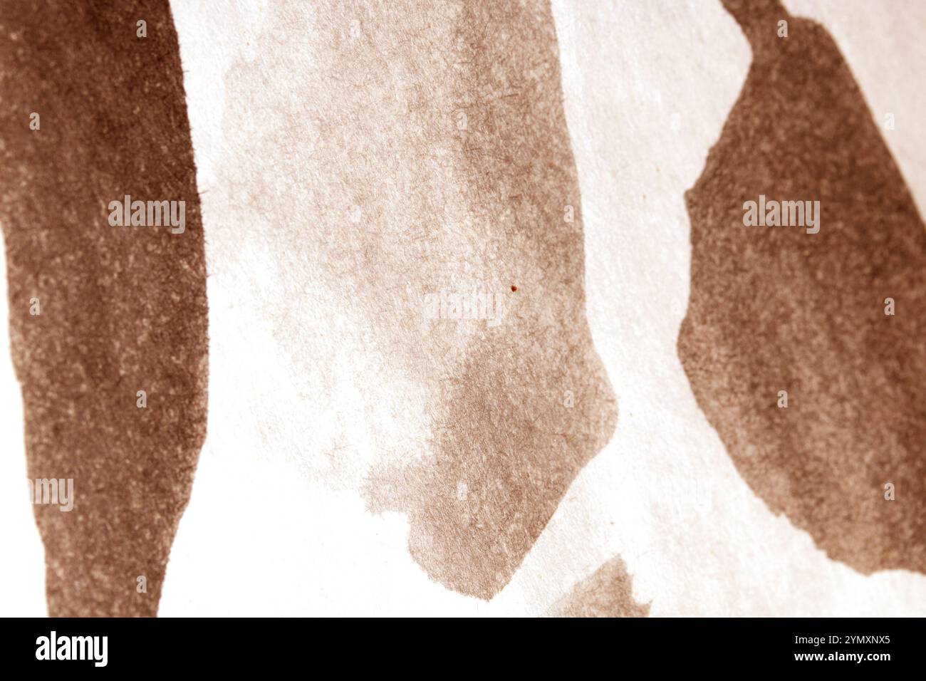 Monochrome Sepia and White Ink Wash Gentle Gradiant Background with ...